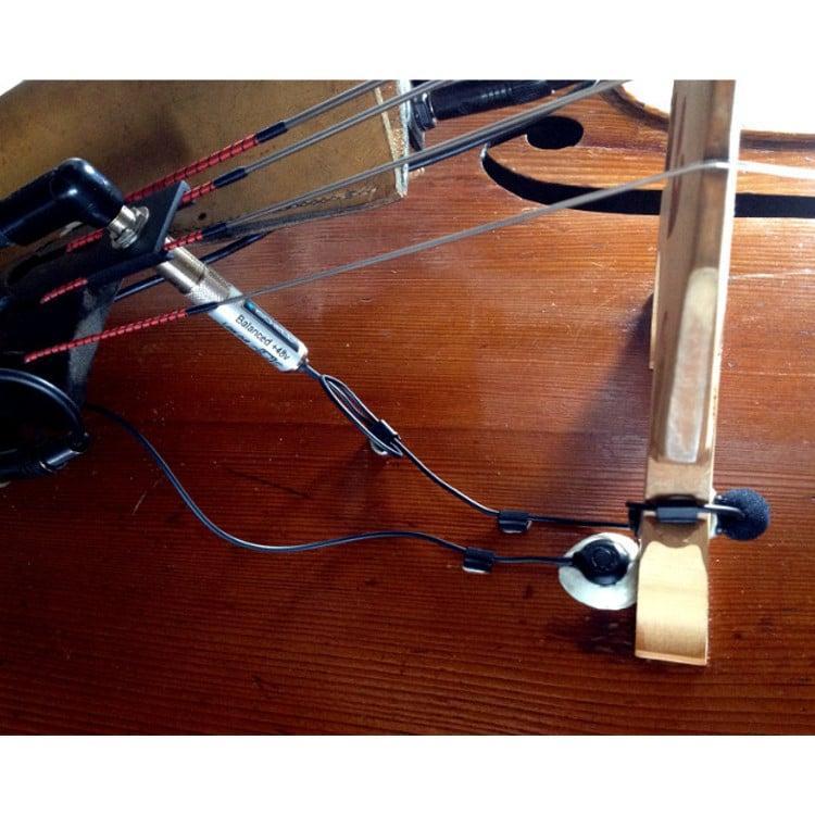 Micros pour Contrebasse – ISCHELL